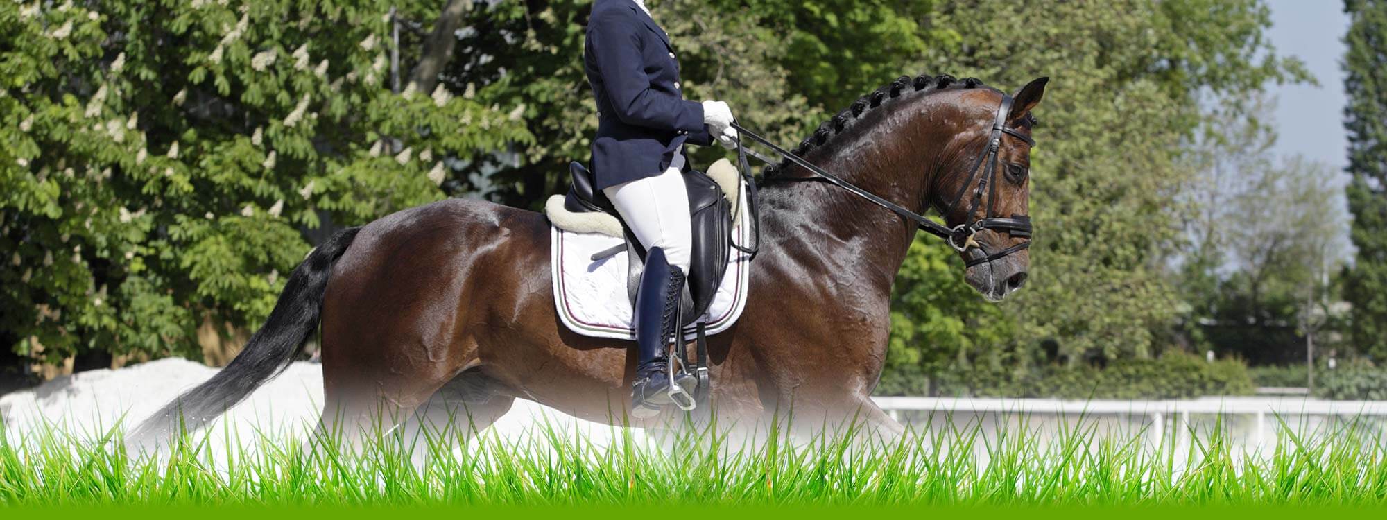 Centre équestre FFE, cheval club et poney club près de Nancy et Toul en ...